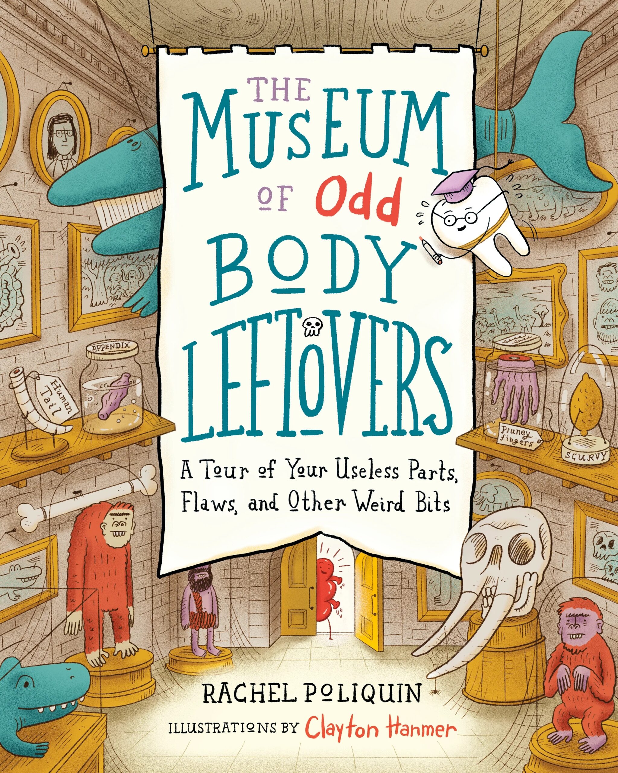 THE MUSEUM OF ODD BODY LEFTOVERS by Rachel Poliquin and illustrated by ...