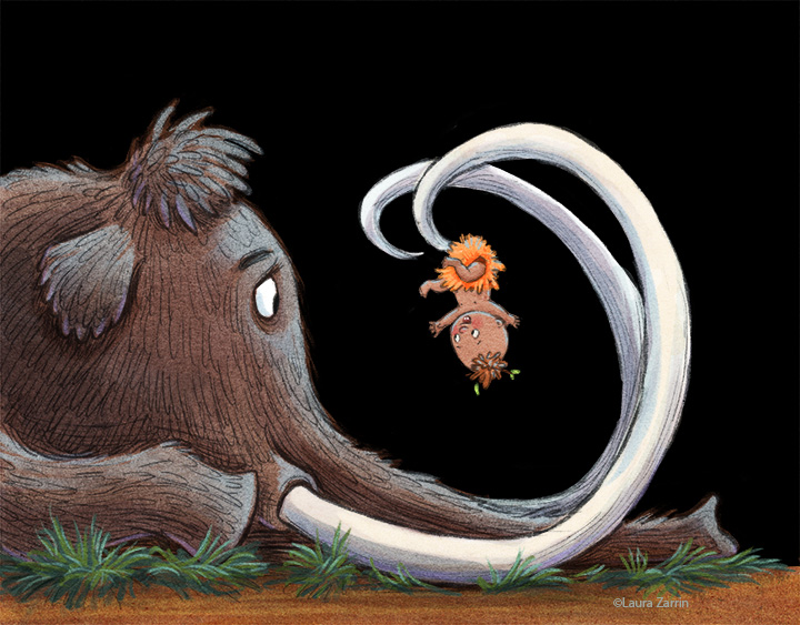 Laura Zarrin – Transatlantic Agency